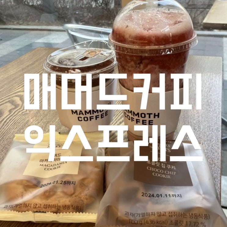 경기 금정역 카페 L 매머드커피 익스프레스 호계데시앙플렉스점 신상메뉴소개 네이버 블로그