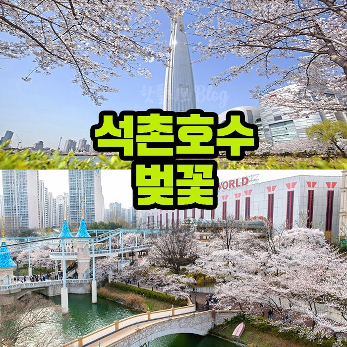서울 벚꽃 개화시기 전국 명소 잠실 석촌호수 벚꽃축제 일정 명당 어디 실시간 만개 상황 사진 주차 정보 주차장 요금 가격