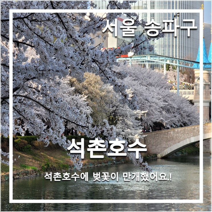 석촌호수공원벚꽃이 활짝폈어요 벚꽃놀이 잠실 석촌호수로 가보자 서울 송파구 네이버 블로그