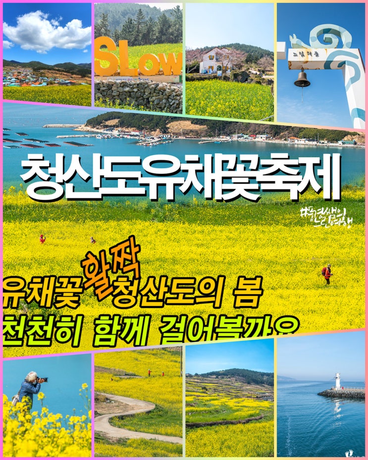 2023 청산도슬로걷기축제 기간 청산도 유채꽃 축제 네이버 블로그