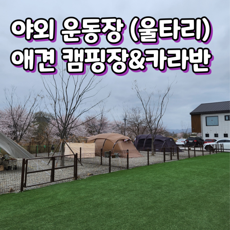 칠곡 일랑일랑 캠핑장 카라반 애견동반 대구근교 경북 가볼만한곳 여행 오토캠핑장 추천 네이버 블로그