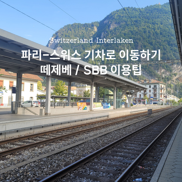 스위스 신혼 여행 5일차 일정공유 파리에서 스위스로 가는 법 리옹역 Tgv 떼제베 바젤역 Sbb 택스리펀