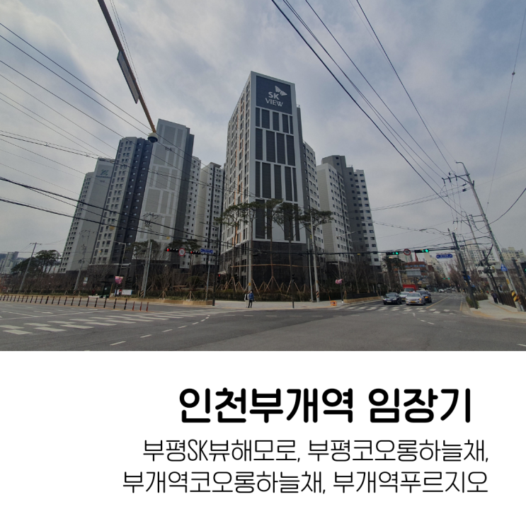 인천 부개역 인근 임장기 부평sk뷰해모로 부평코오롱하늘채 부개역코오롱하늘채 부개역푸르지오 네이버 블로그