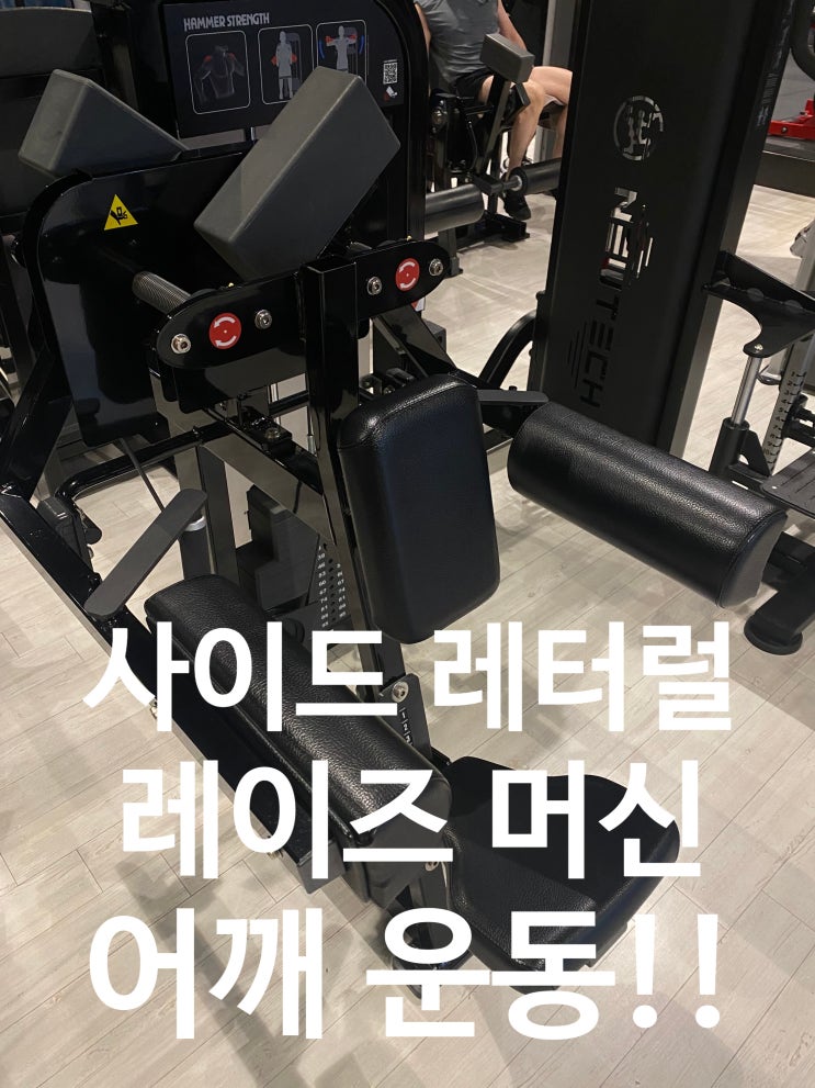 마곡헬스장 에이블짐 마곡나루점 벨라 트레이너의 어깨 운동 사이드 레터럴 레이즈 네이버 블로그