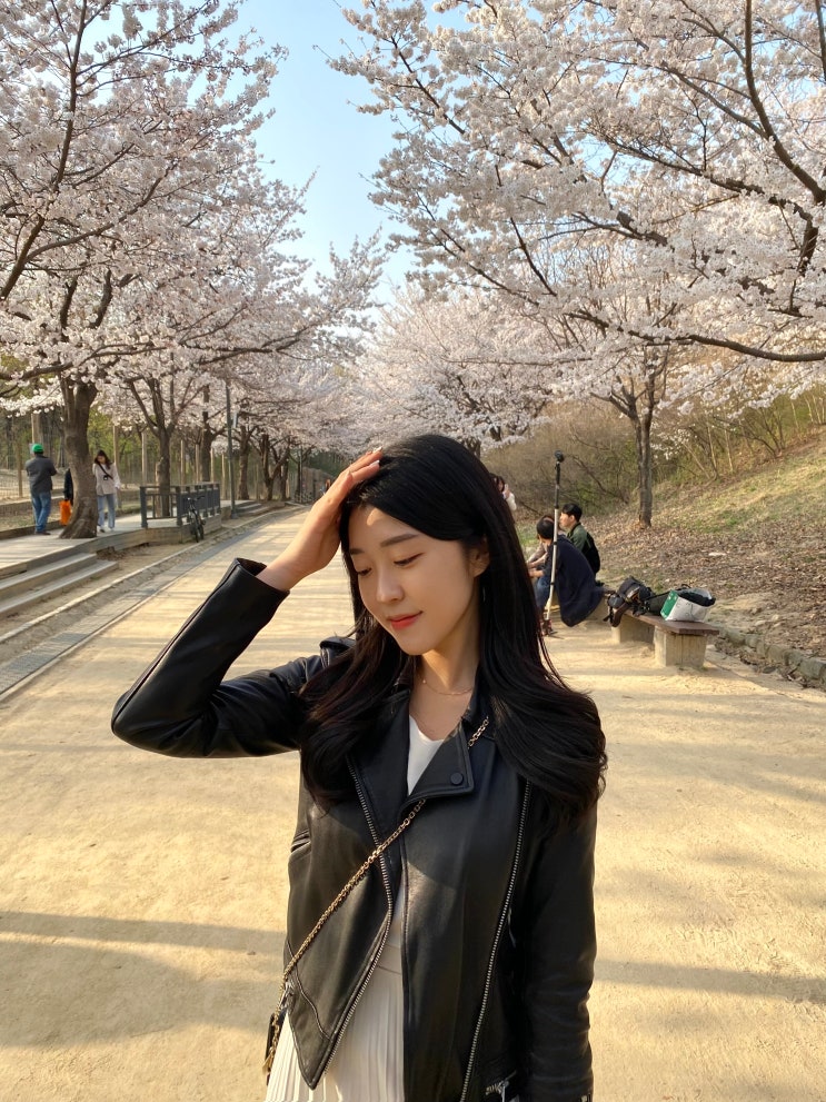 서울 벚꽃 명소 서울숲 실시간 개화 벚꽃길 위치 평일 방문 네이버 블로그