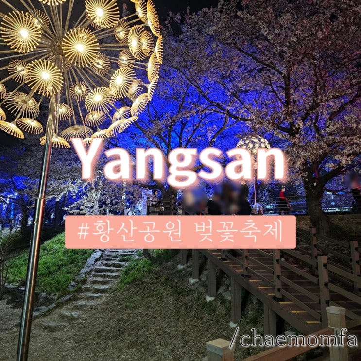 2023년 양산 황산공원 벚꽃축제 첫날 벚꽃길 야경 주차정보 And 벚꽃길 가는 방법 네이버 블로그