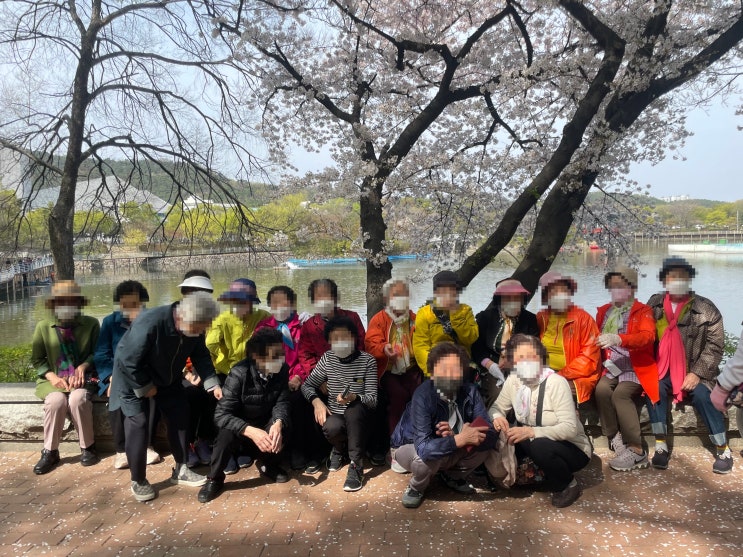 게시판대구 최고의 행복과 건강을 드리는 노인복지센터 사회복지법인 상록수주간보호센터에서 봄나들이로 벚꽃 구경을 갔습니다