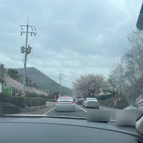 주말일상_진해군항제, 진해 여좌천, 경화역 방문 : 네이버 블로그