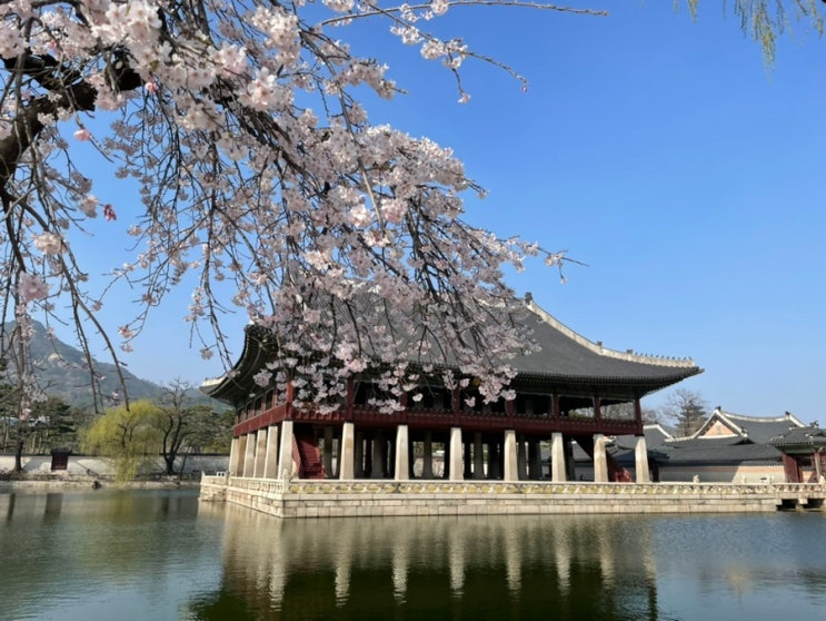 [경복궁/국립민속박물관] 봄날 고궁나들이 : 네이버 블로그