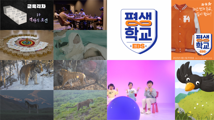 무료 평생교육부터 다큐 교양 어린이프로그램까지 !EBS 편성표 이렇게 달라졌다! : 네이버 블로그