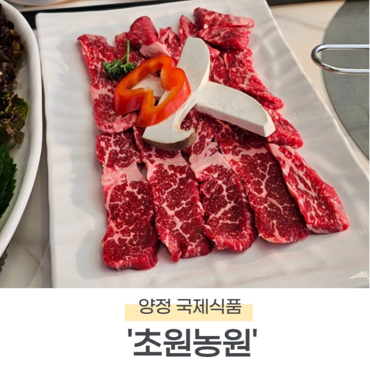 부산 진구 양정 국제식품 초원농원 진갈비살 점심특선 내돈내산 솔직후기 네이버 블로그