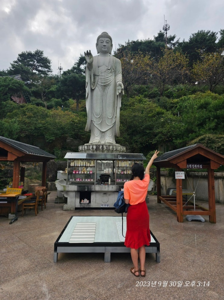 공주여행 밤줍기체험 공주공산성베이커리 밤마을 하루카페and밤떡명가 공주토실이쌀밤빵 중동오뎅집 더보양 흑삼삼계탕정안천숲길 세종