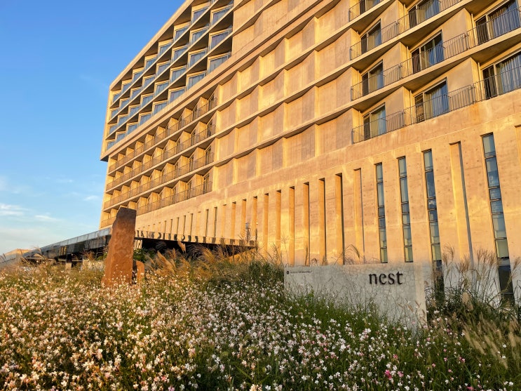 인천 영종도 네스트호텔, 디럭스 더블룸 호캉스 후기 (피트니스/산책로) : 네이버 블로그