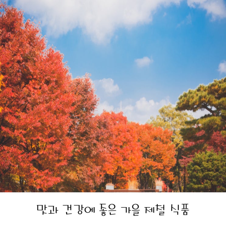 맛과 건강에 좋은 가을 제철 식품 : 네이버 블로그