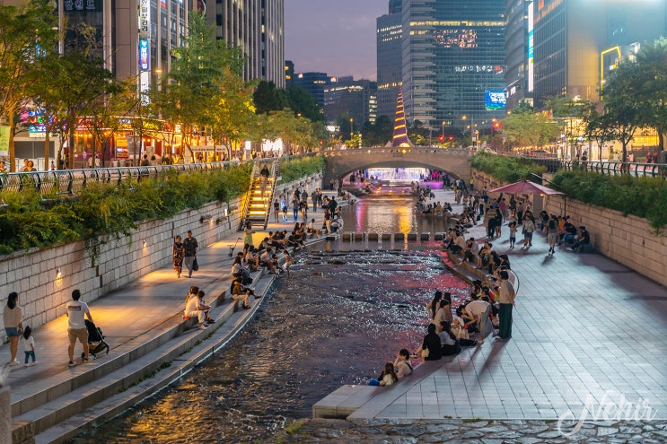 서울 종로 가볼만한곳 청계천 청계광장 명동 데이트 코스 네이버 블로그