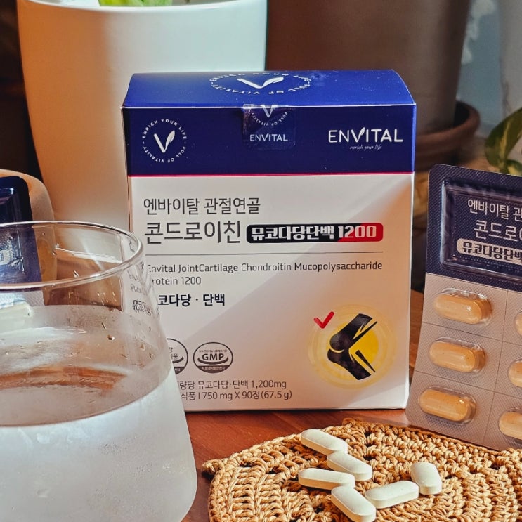 연골영양제 엔바이탈 콘드로이친 뮤코다당단백 네이버 블로그