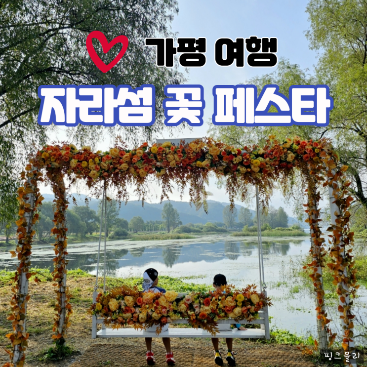 10월 축제 가평 자라섬은 지금 꽃페스타 가을 꽃 축제중 Ft입장료 주차 정보포함 네이버 블로그