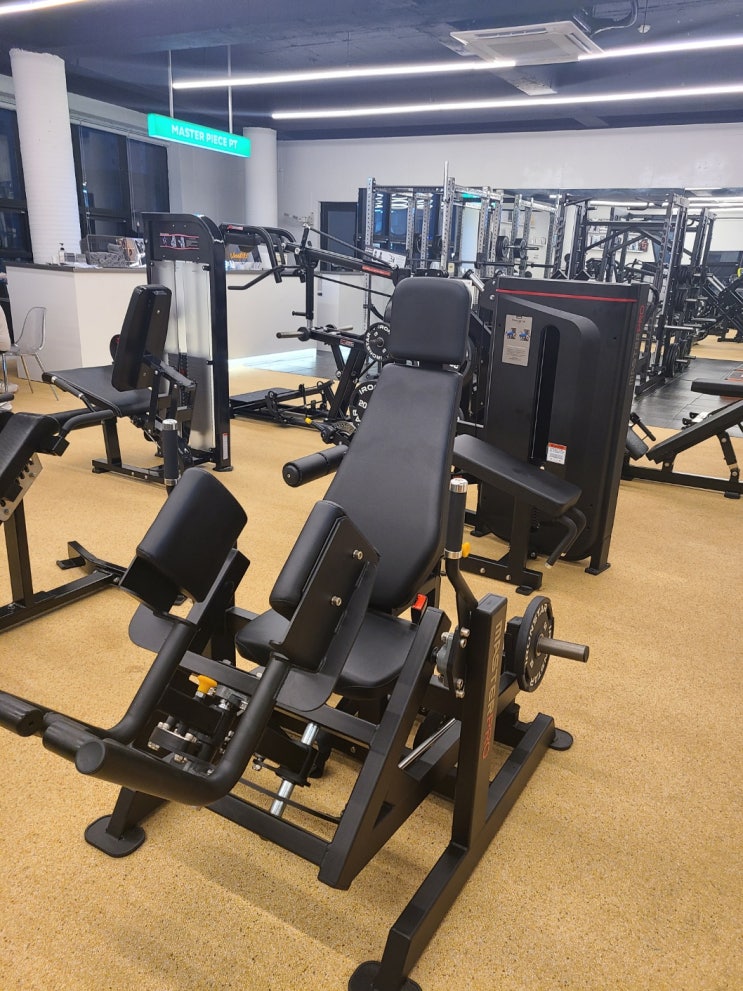 울산 신정동 피티 운동하기 좋은 전문 피티샵 마스터피스 Pt 네이버 블로그