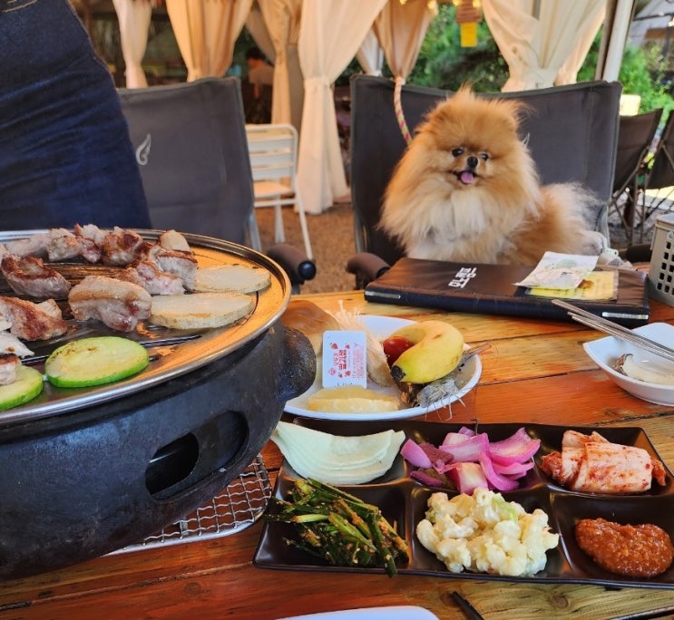 고기리 맛집 모노캠프 캠핑느낌 가득 애견동반 바베큐 식당 네이버 블로그
