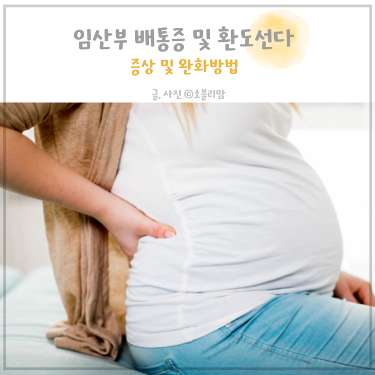 임산부 배통증 배뭉침 방광염 단백뇨 치골통 환도선다 증상 및 완화 방법 네이버 블로그