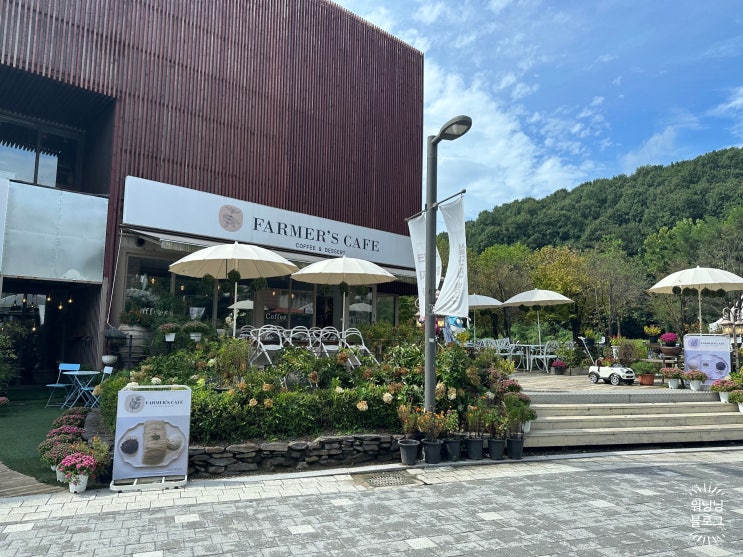 파주 헤이리마을 아기데리고 가기 좋은 넓은 카페 파머스테이블 카페 내돈내먹 후기 네이버 블로그