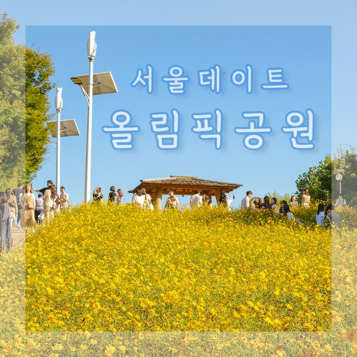 서울데이트 코스모스 꽃밭이 예쁘게 펼쳐진 올림픽공원 들꽃마루and장미정원주차장위치and장미광장 네이버 블로그