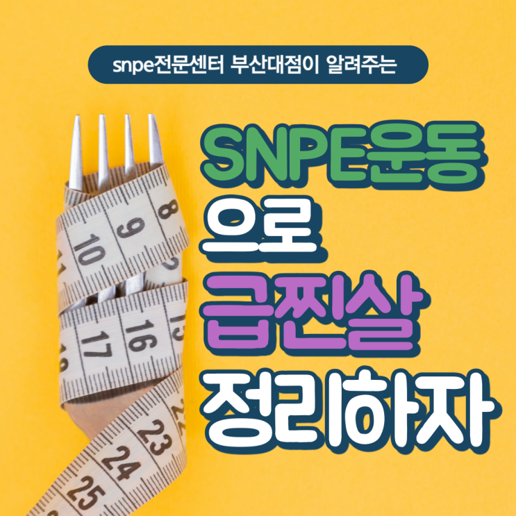 [부산 snpe] SNPE 운동으로 명절 급찐살 2주 안에 빼기 : 네이버 블로그