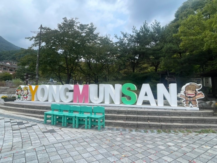 양평 가볼만한 곳 용문산 용문사 은행나무 입장료 주차 네이버 블로그
