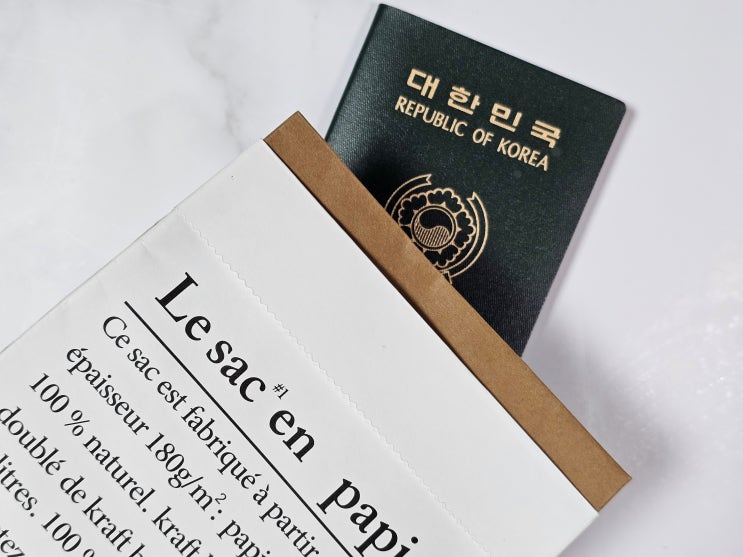 차세대 전자여권 온라인 여권 재발급 발급 갱신 여권사진 옷색깔 규격 귀 앞머리 렌즈 네이버 블로그