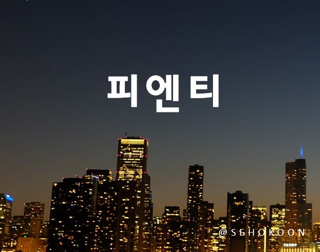 2차전지 장비주 대장주 피엔티 지금 매수하면 물린다 2차전지 관련주 원익피앤이 에이프로 펩트론 주가 주식신용 잔고 확인