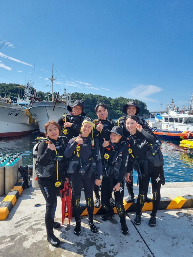 Hdive 2023 9.28-10.1 추석 제주도 스쿠버다이빙의 추억 : 네이버 블로그