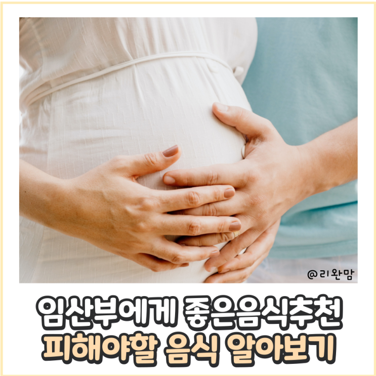 임산부 좋은음식 추천 And 임산부가 피해야 하는 음식 임신했을때 잘먹어야하는 이유 네이버 블로그