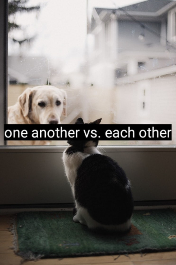 Day 121. one another vs. each other : 서로 영어로? : 네이버 블로그