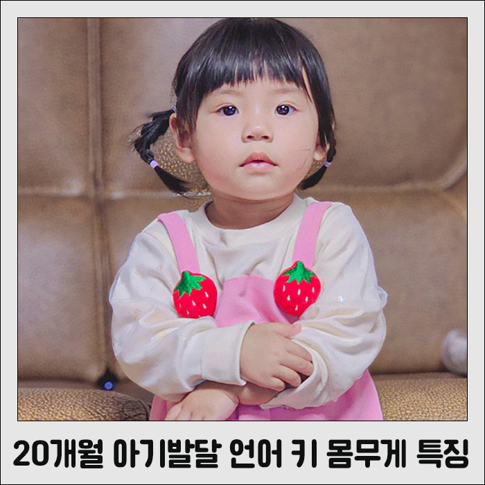 20개월 아기발달 언어 키 몸무게 특징 네이버 블로그