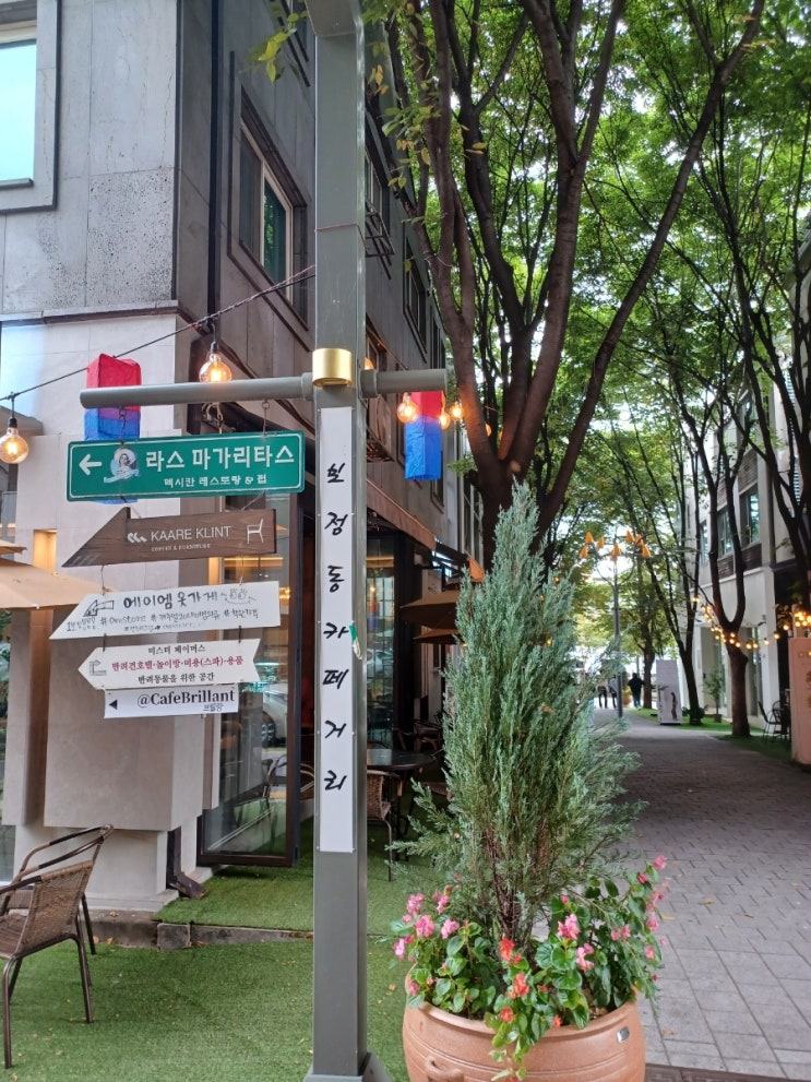 보정동카페거리 멕시칸음식 내돈내산 후기 네이버 블로그