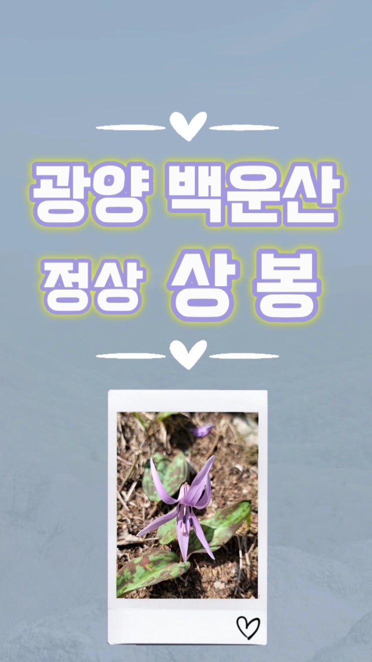 ≪쭈야의 등산기≫ No 76 광양 백운산 등산 코스 최단 코스 추천 코스 1일 2산 팔영 백운 연계 산행 100대 명산