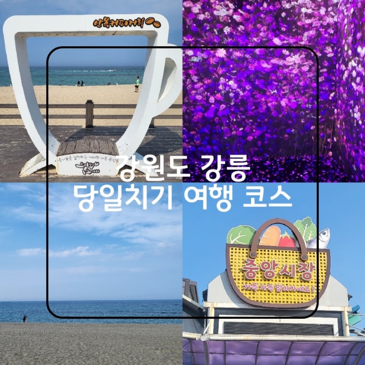 강원도 강릉 당일치기 여행 코스 일정 맛집 뚜벅이 가볼만한곳 여행꿀팁 네이버 블로그