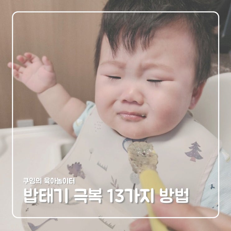 돌아기 밥태기 밥거부 극복 13가지 방법 네이버 블로그