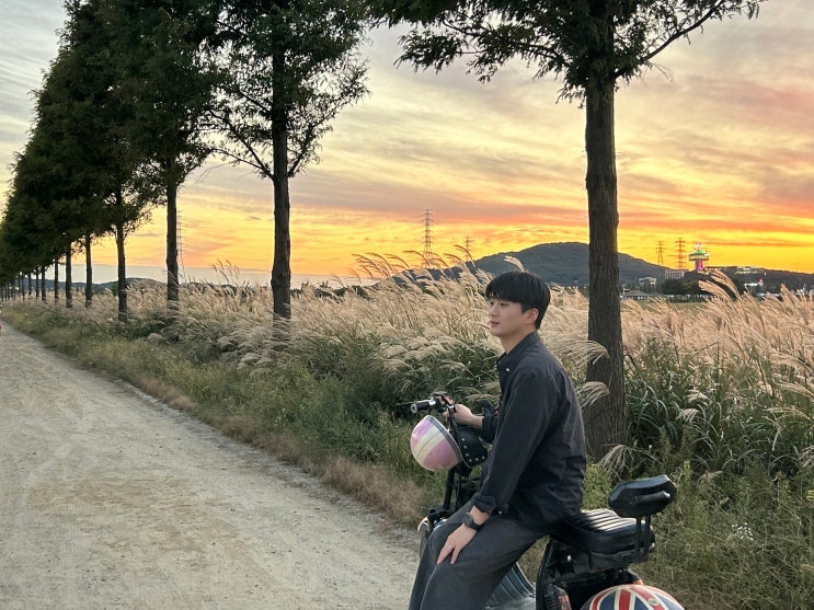 서울근교 가을데이트 대부도 갈만한곳 대부바다향기테마파크 바이크 대여 드라이브 갈대밭 메타세쿼이아 네이버 블로그