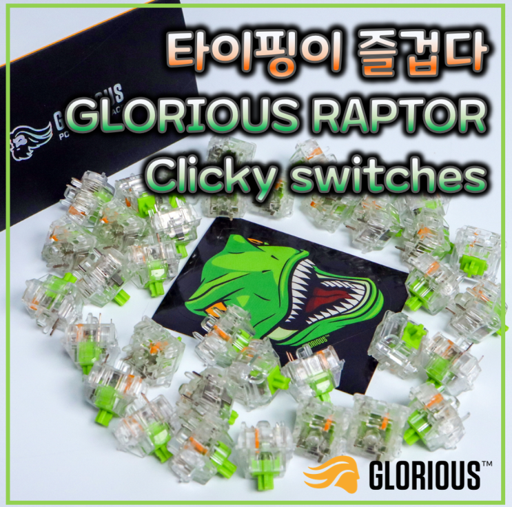 손과 귀가 즐거운 타이핑을 원한다면, 글로리어스 랩터 사전 윤활 스위치(Glorious Raptor) 맛보기 : 네이버 블로그