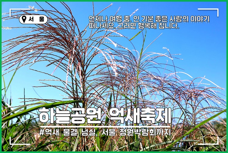 상암 하늘공원 억새축제 서울 억새축제 월드컵 공원 네이버 블로그