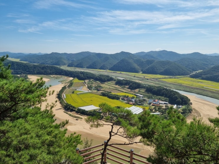 경북 예천 경북 가을여행 예천 회룡포전망대 회룡포마을 회룡포카페 네이버 블로그