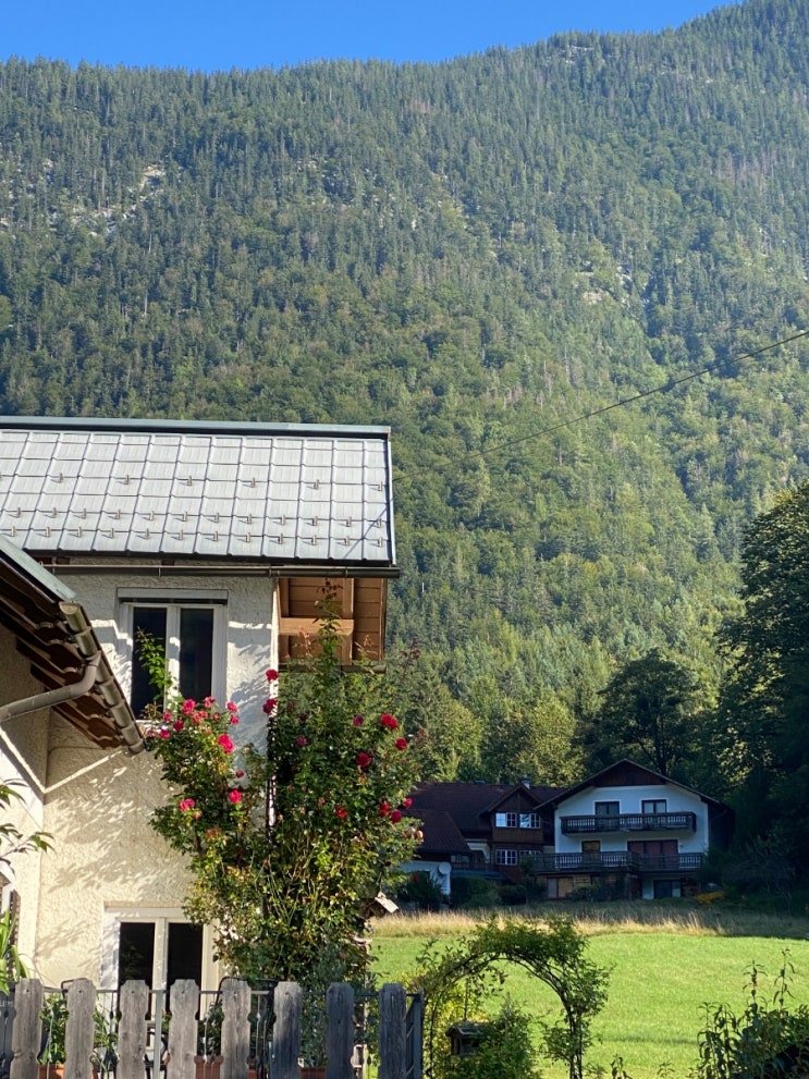 오스트리아 할슈타트 소도시 근교 여행 오버트라운 (Obertraun) : 네이버 블로그