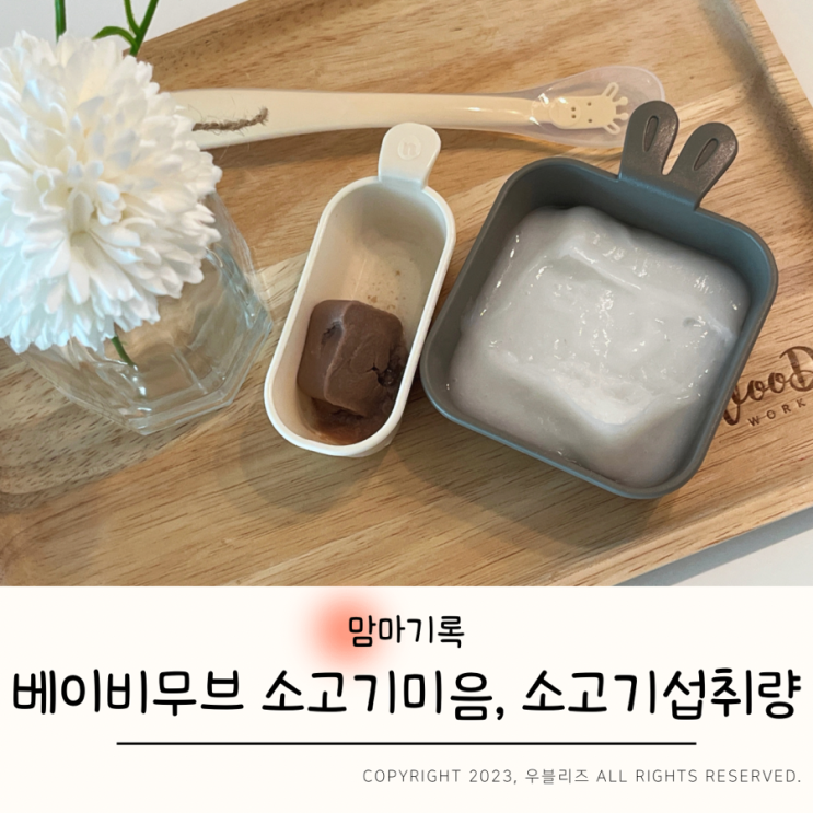 베이비무브 초기 이유식 소고기 미음 만들기 6개월 소고기 섭취량 네이버 블로그