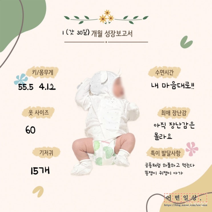 육아일기 육아템추천 신생아 생후 19일~30일 속싸개안녕 역방쿠 좁쌀이불 네이버 블로그