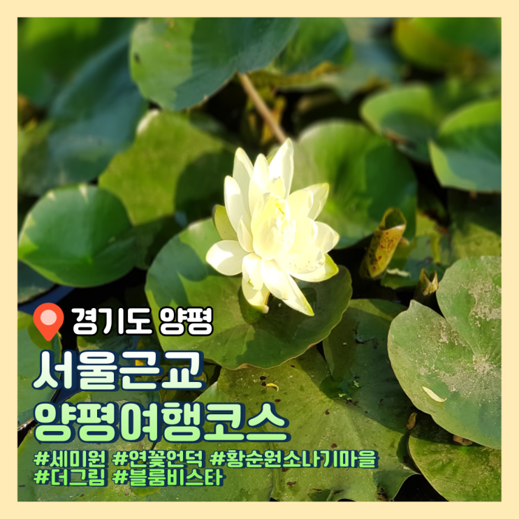 경기도 양평 서울근교 당일치기 양평 가볼만한곳 부모님 아이와 함께 여행세미원 연꽃언덕 황순원소나기마을 더그림 블룸