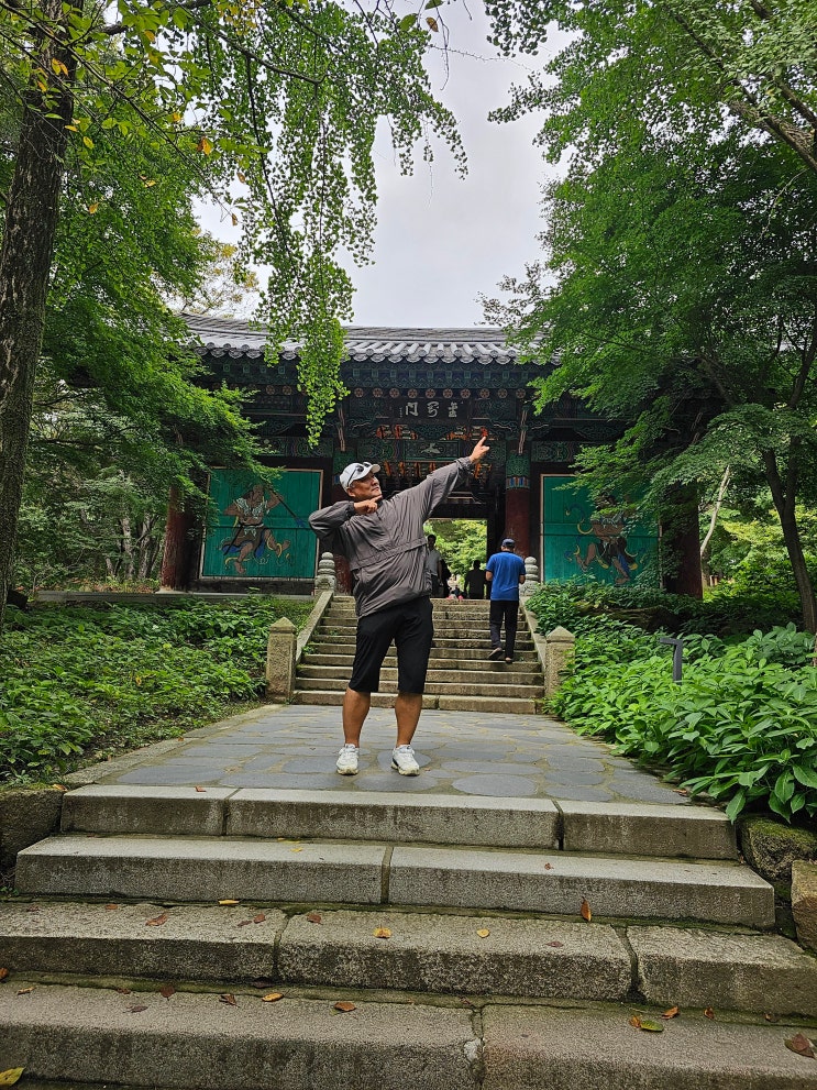충남 예산 가볼만한곳 수덕사 예산시장 예당호 출렁다리 모노레일 당일치기 여행 코스 네이버 블로그