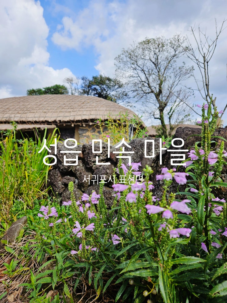 제주도 옛 제주 마을의 모습을 그대로 간직하고 있는 또 하나의 제주 민속촌 네이버 블로그