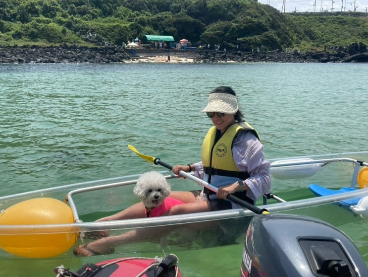 제주 2주살이 애견동반여행 제주 서쪽 여행 코스 추천 강아지와 가볼 만한 곳 한담해변 카약 곽지해변 협재