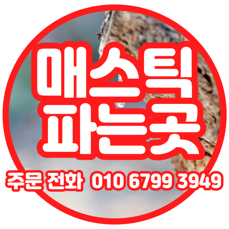 매스틱 먹는방법 매스틱파는곳 매스틱검 위건강효능알아보기 추천 가격 네이버 블로그